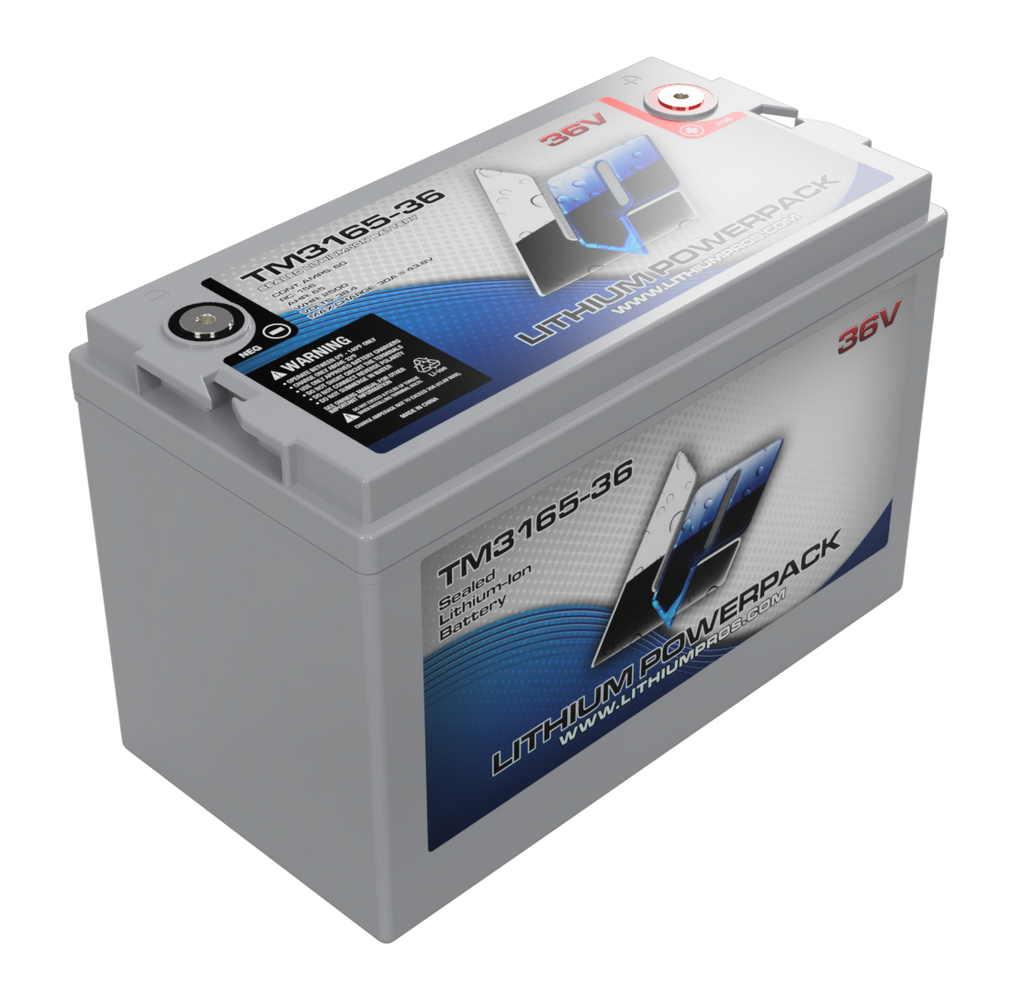 Lithium Pros TM-Series Marine Batteries
